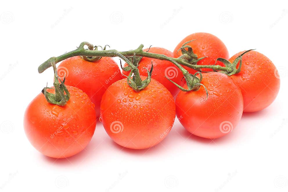 Seven tomatoes with drops stock image. Image of ripe, seven - 5300009