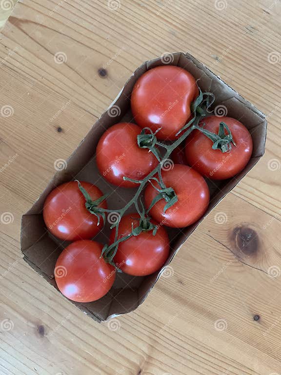 Seven Tomatoes stock image. Image of vegetables, healthy - 178278973