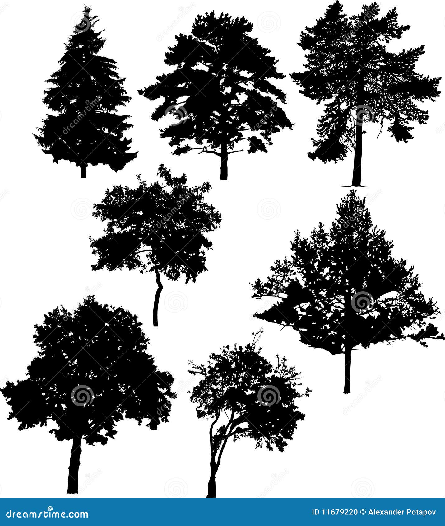 Seven tree silhouettes stock vector. Illustration of outline - 11679220