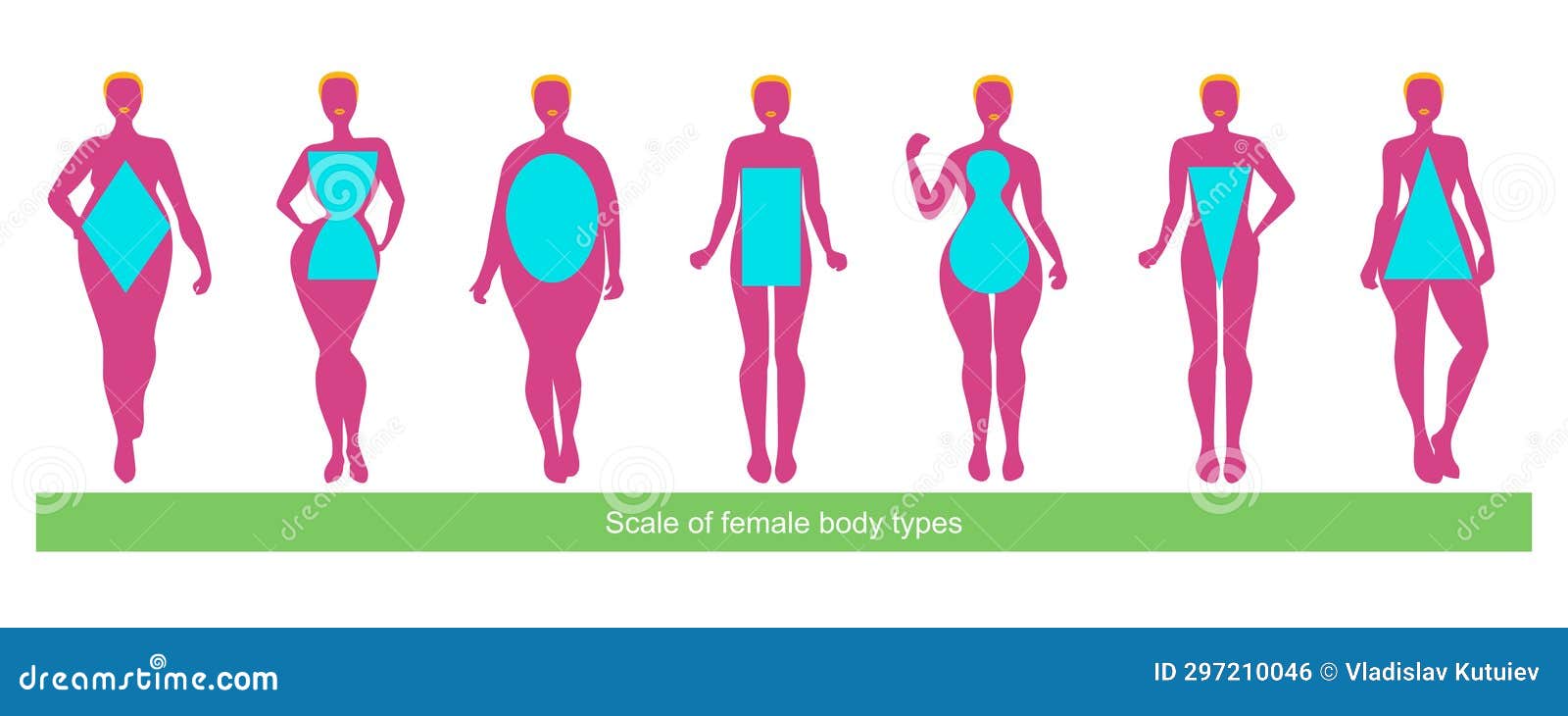 Seven Types of Female Figures. Vector Illustration Stock Illustration ...