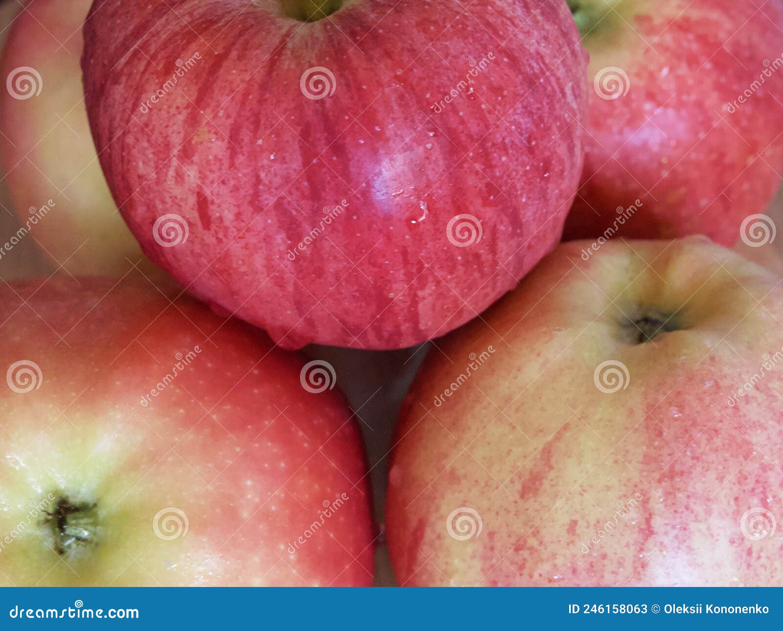 Several Apples of the Gala and Ligol Varieties, a Close-up Shot Stock ...