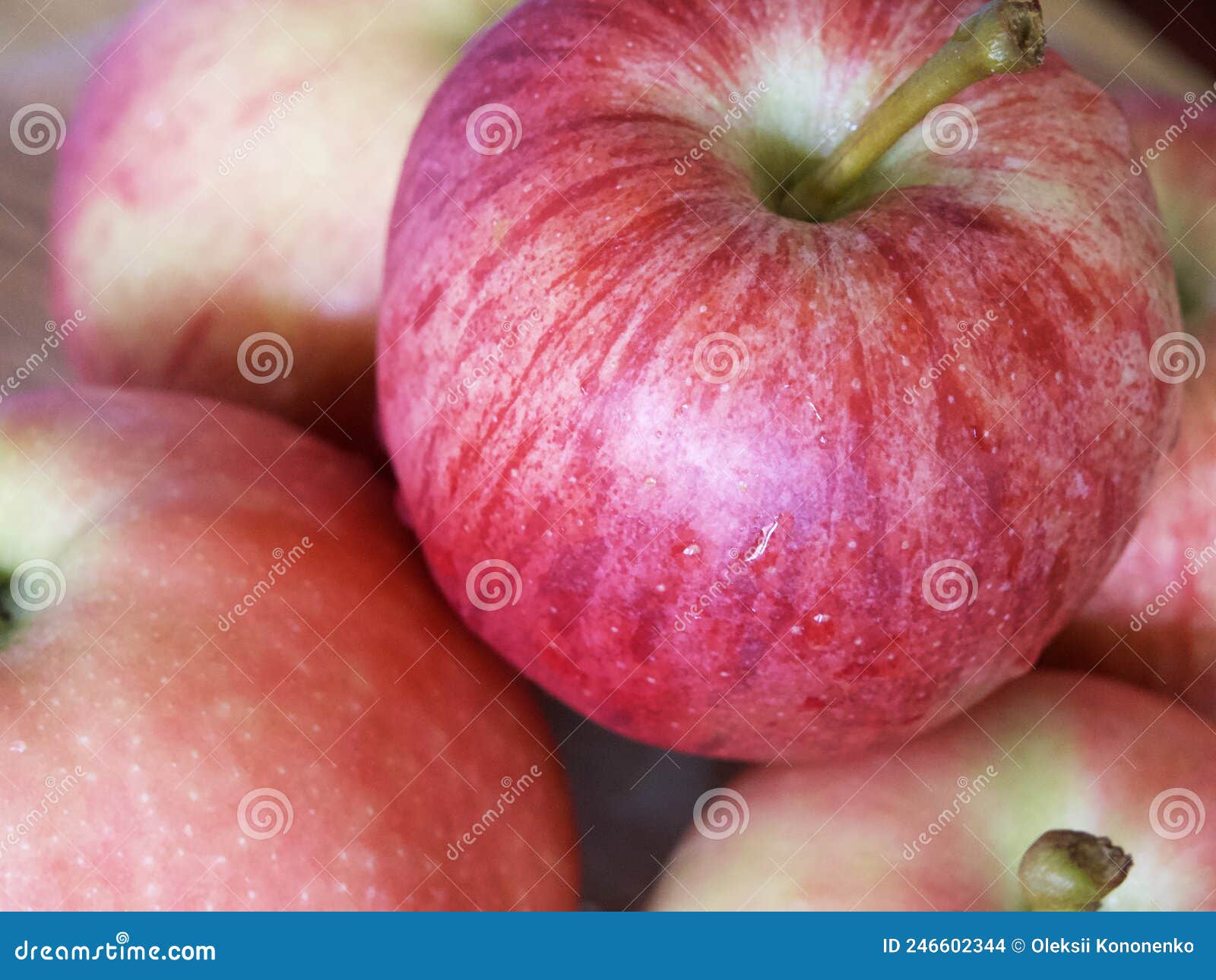 Several Apples of the Gala and Ligol Varieties, a Close-up Shot Stock ...