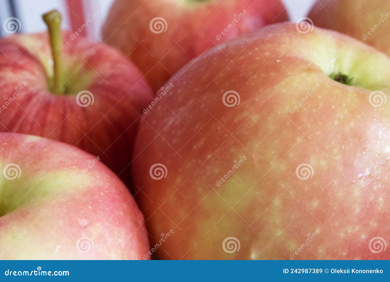 Several Apples of the Ligol and Gala Varieties, a Close-up Shot Stock ...