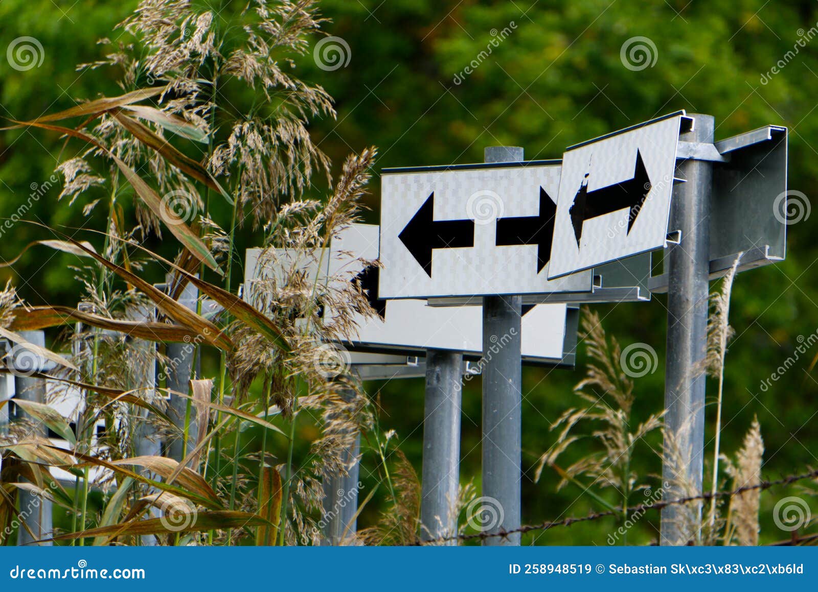 Several Arrow Signs with Reed Straws Stock Image - Image of signs, fall ...