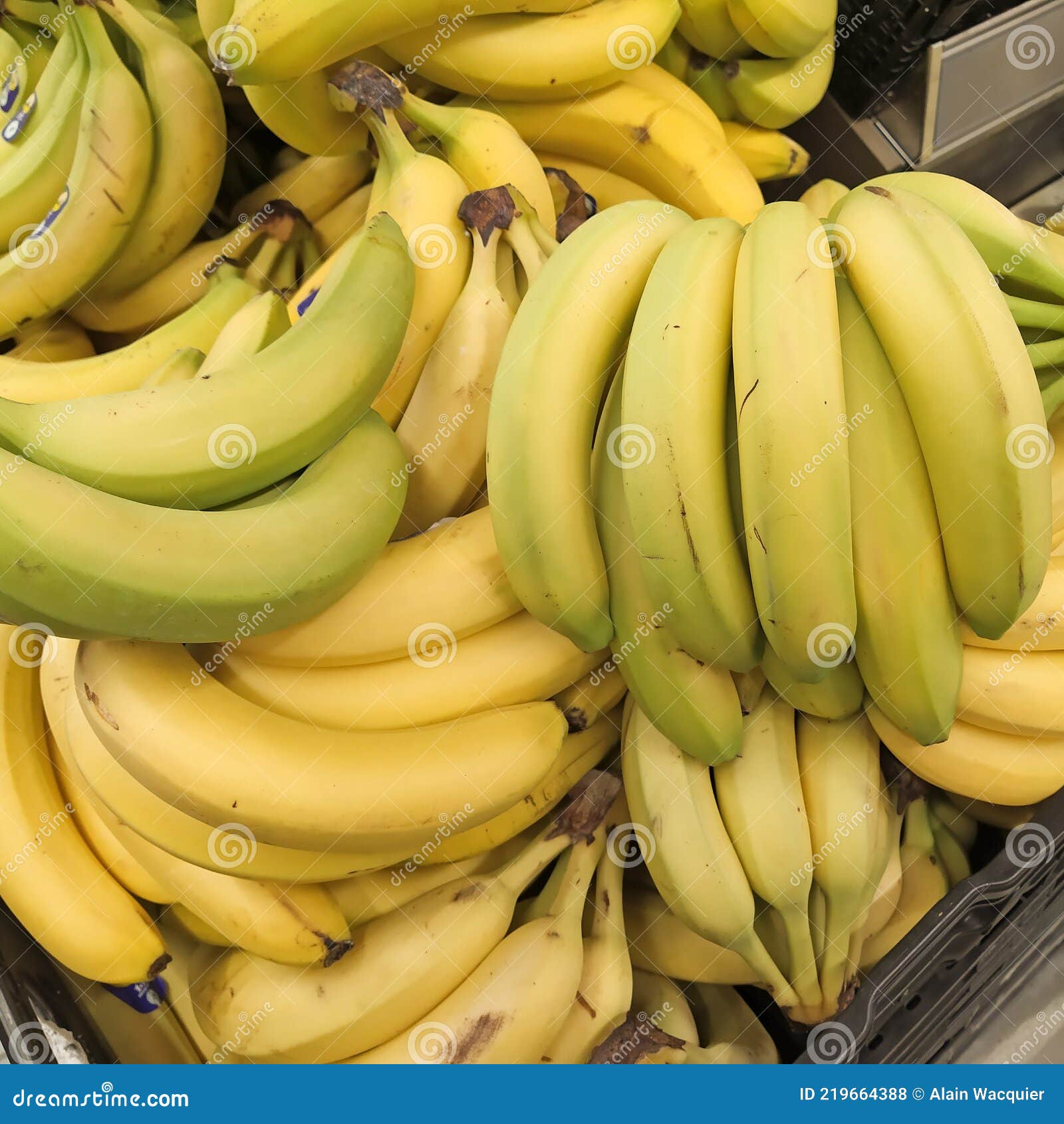 Several bananas in a pile stock photo. Image of store - 219664388