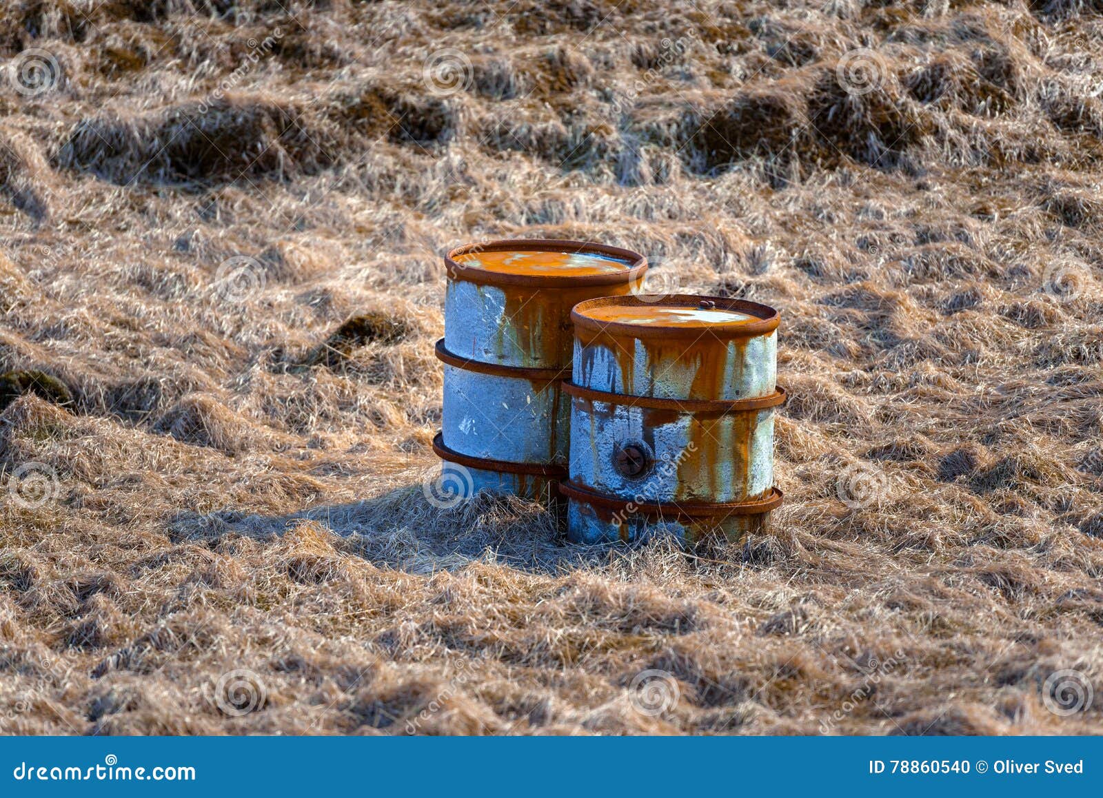 Several Barrels of Toxic Waste Stock Photo - Image of death, dangerous ...
