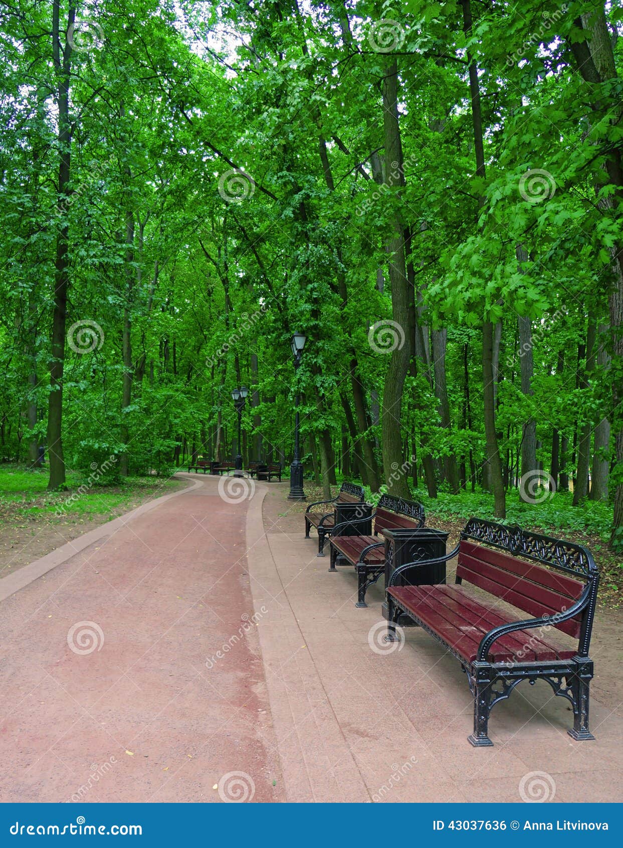 Several Benches Along a Walkway in a Summer Park Stock Photo - Image of ...