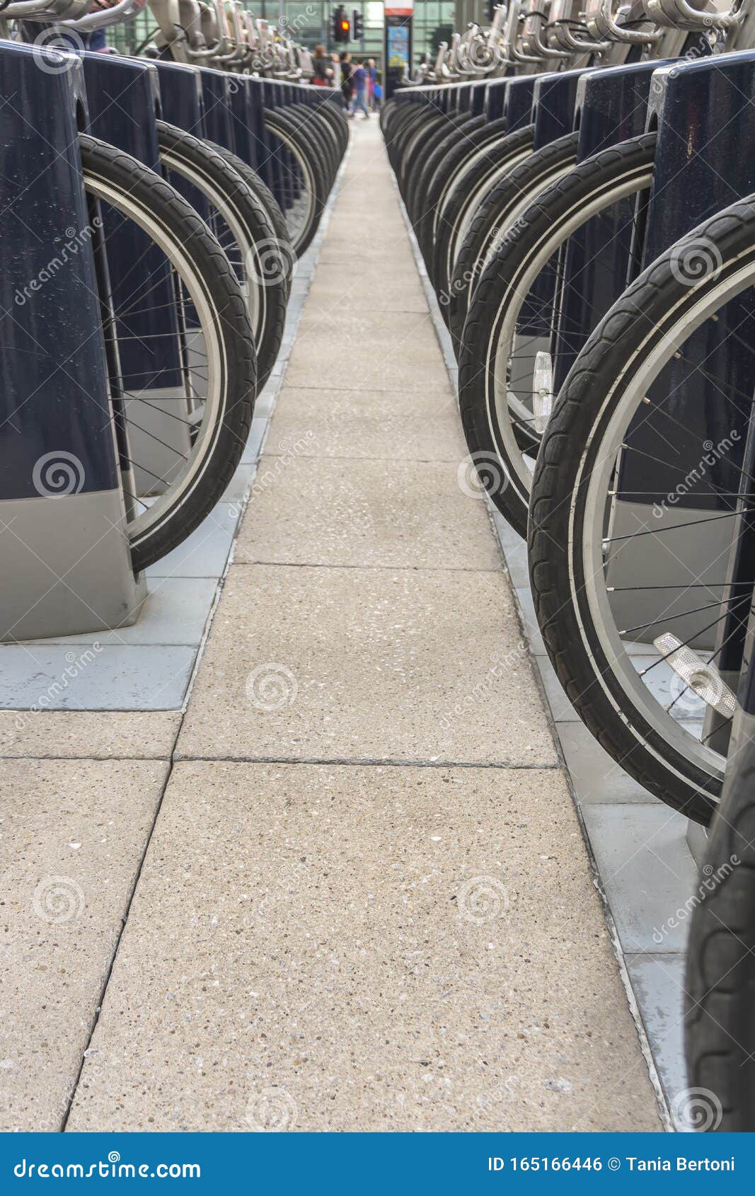 Several Bikes Parked in Rows for Rent Stock Photo - Image of technology ...