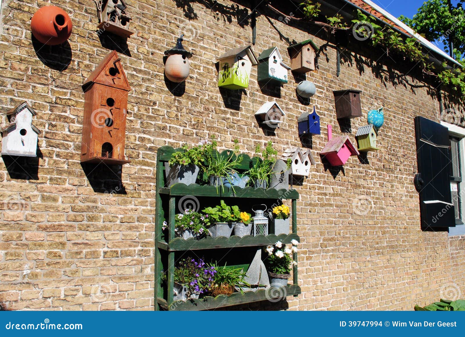 Several Bird Houses on an Brick Wall Stock Photo - Image of green ...