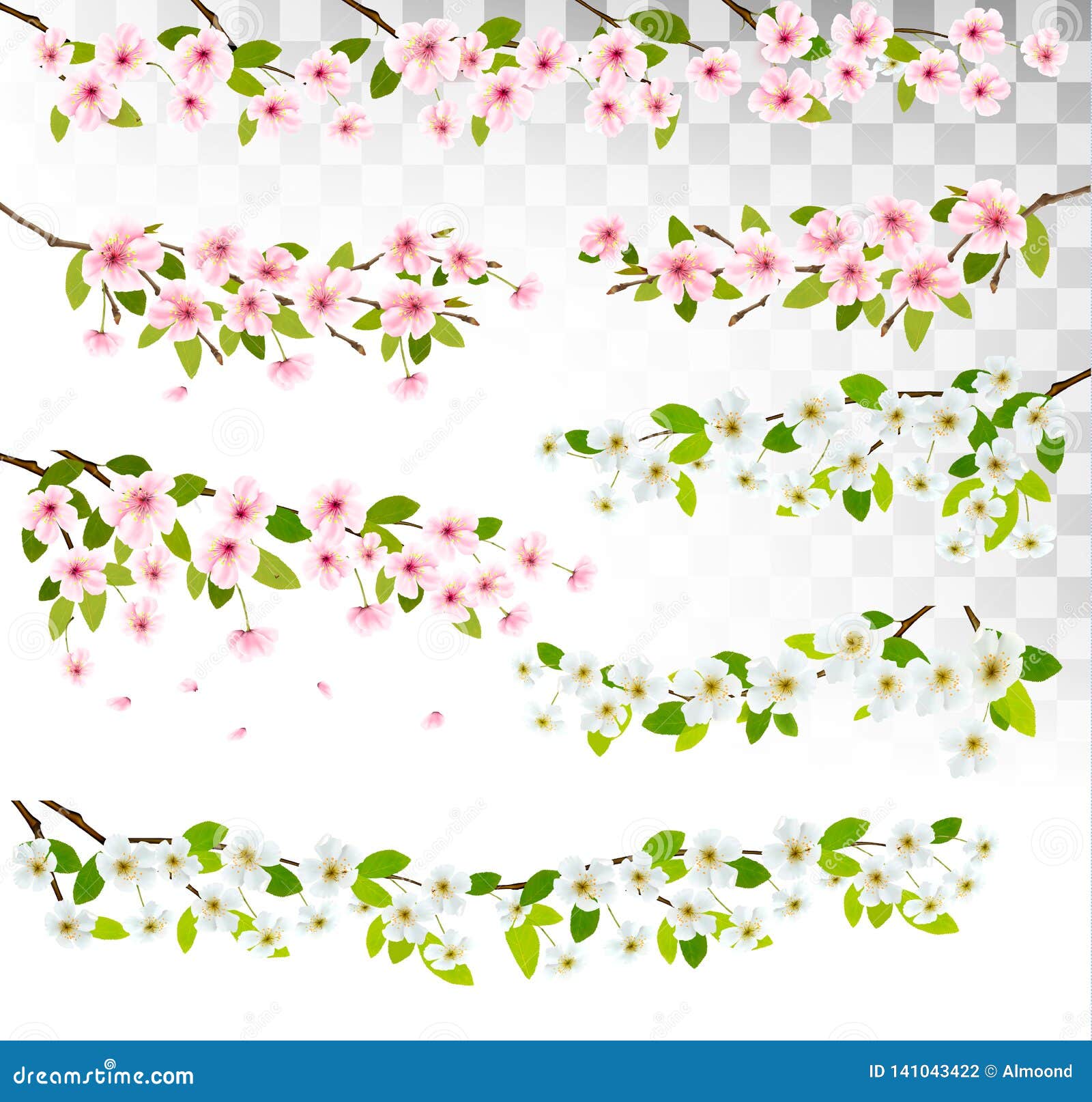 Several Blossom of Cherry and Sakura Borders. Stock Vector ...