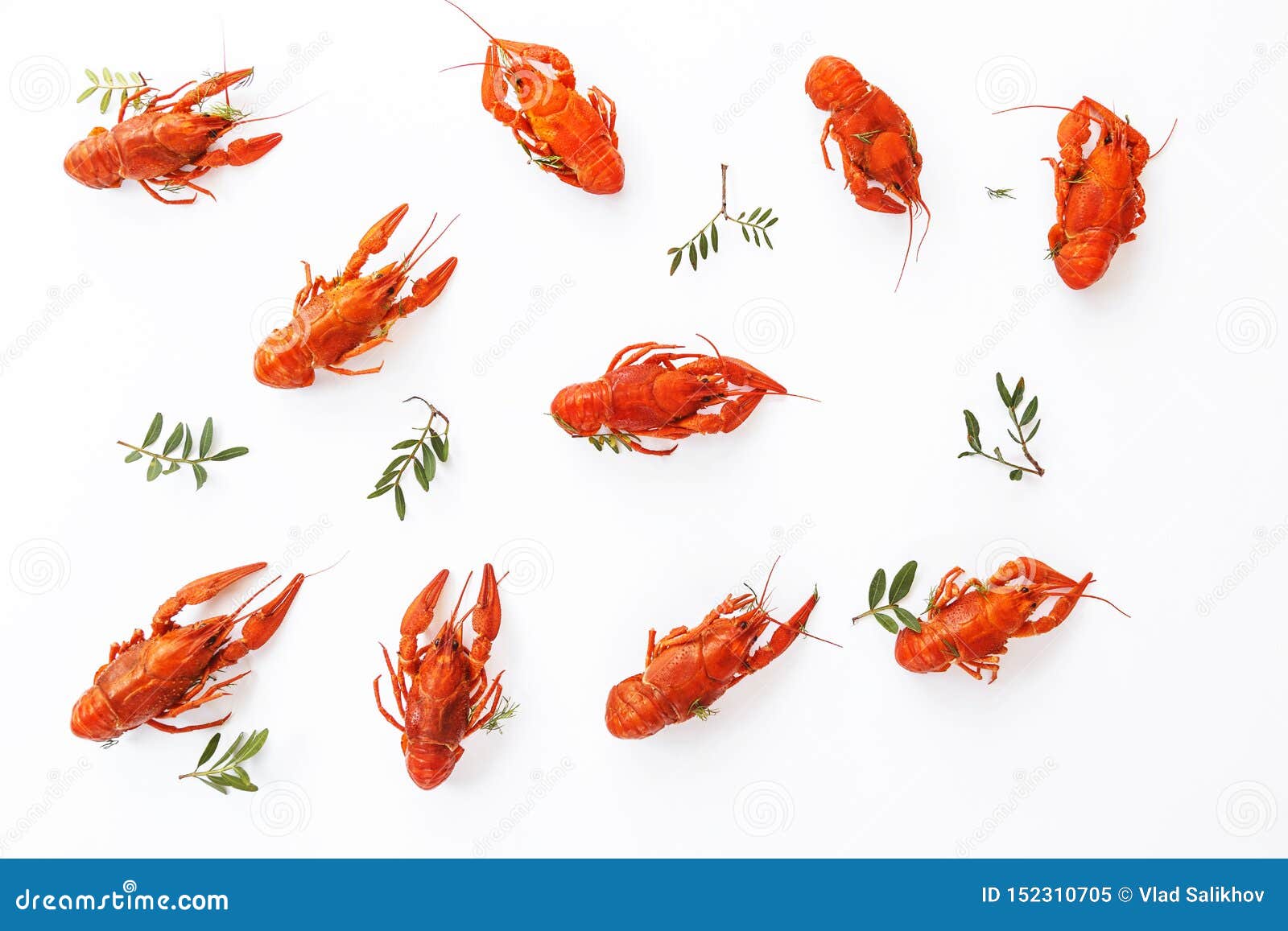 Several Boiled Crawfish Isolated on White. Top View Stock Image - Image ...
