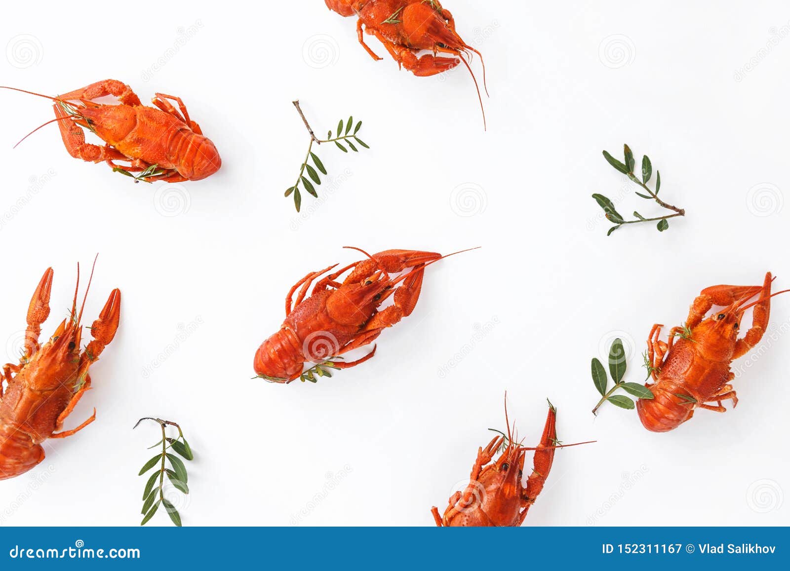 Several Boiled Crawfish Isolated on White. Top View Stock Image - Image ...