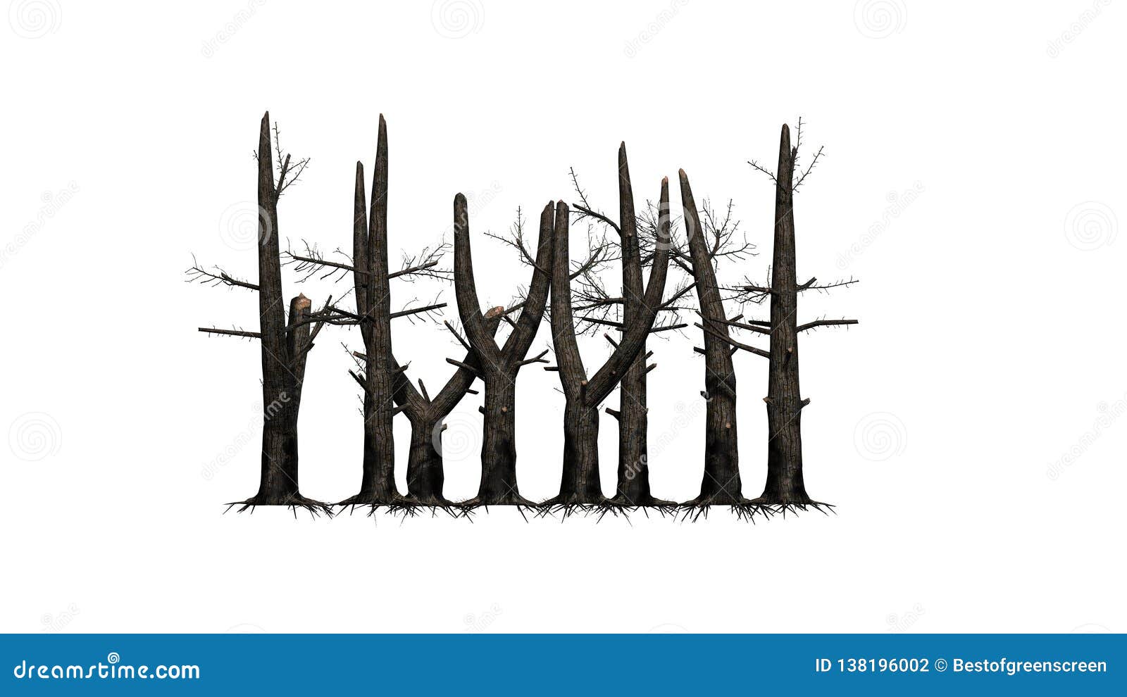 Several Burnt Trees on White Background Stock Illustration ...