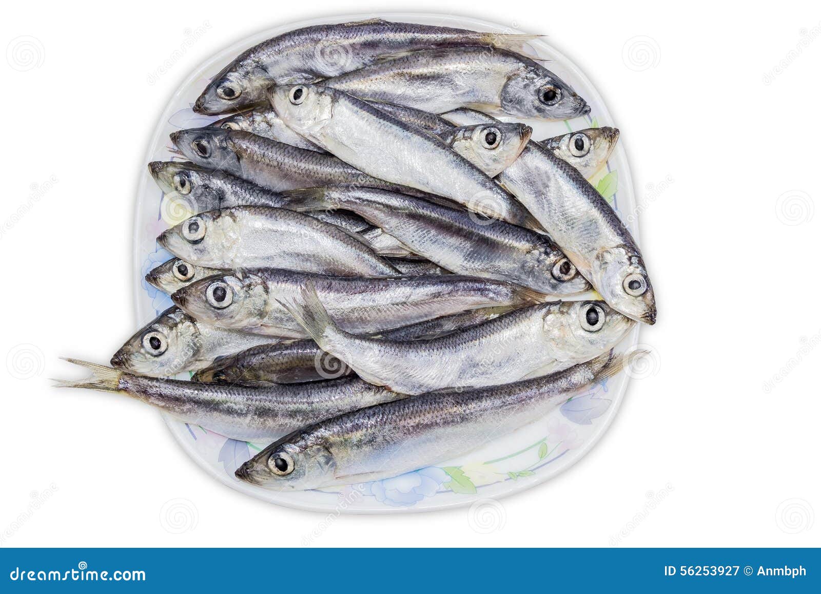 Several capelin on dish stock image. Image of atlantic - 56253927