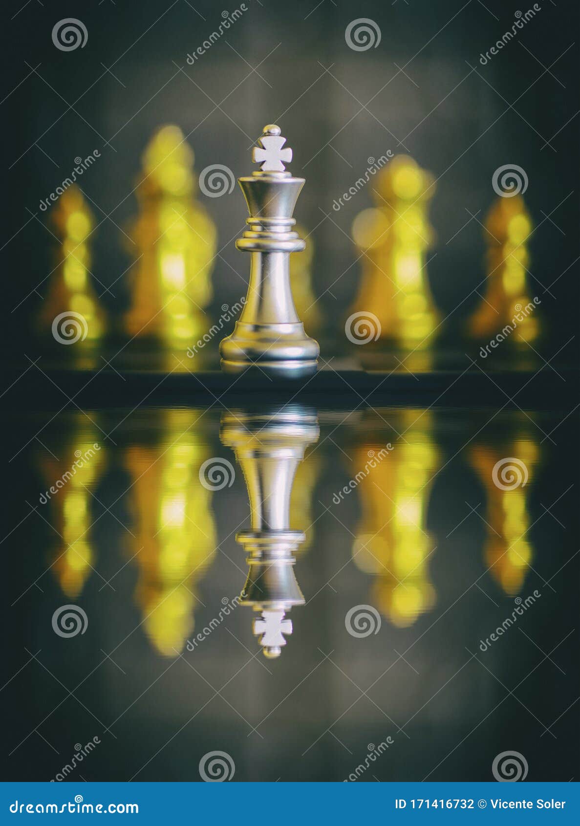 Several Chess Pieces and Their Reflection in the Water Stock Photo ...