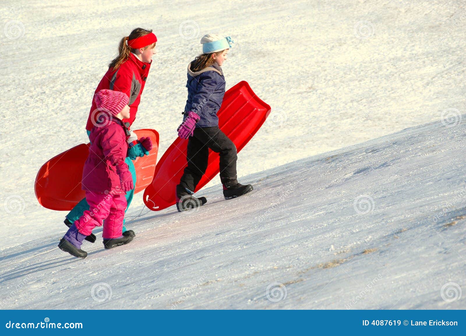 Several Children Sledding stock image. Image of winter - 4087619