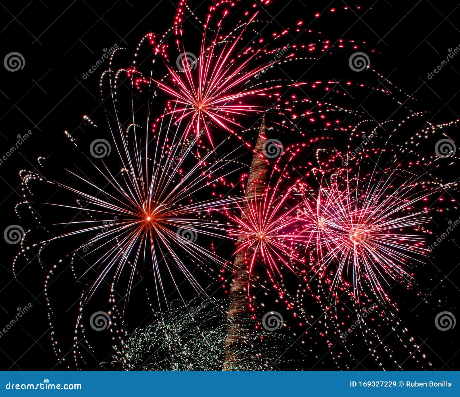 Several Colorful Fireworks Exploding in the Dark Sky in the Middle of ...
