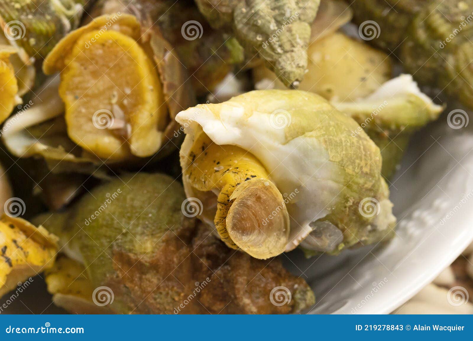 Several Cooked Whelks Close-up Stock Image - Image of mollusk, shell ...