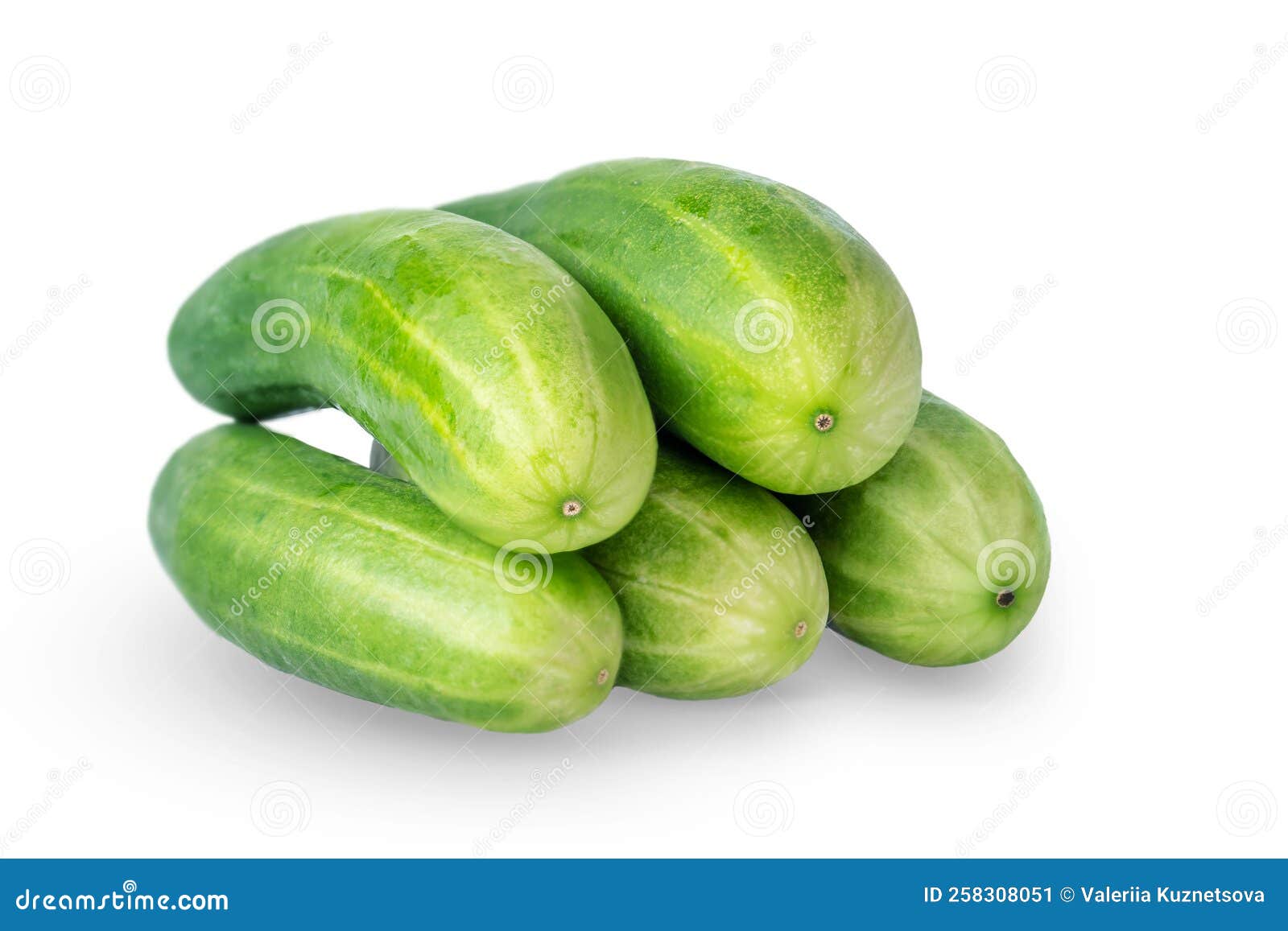 Several Cucumbers with Shadows Isolated Stock Image - Image of cucumber ...
