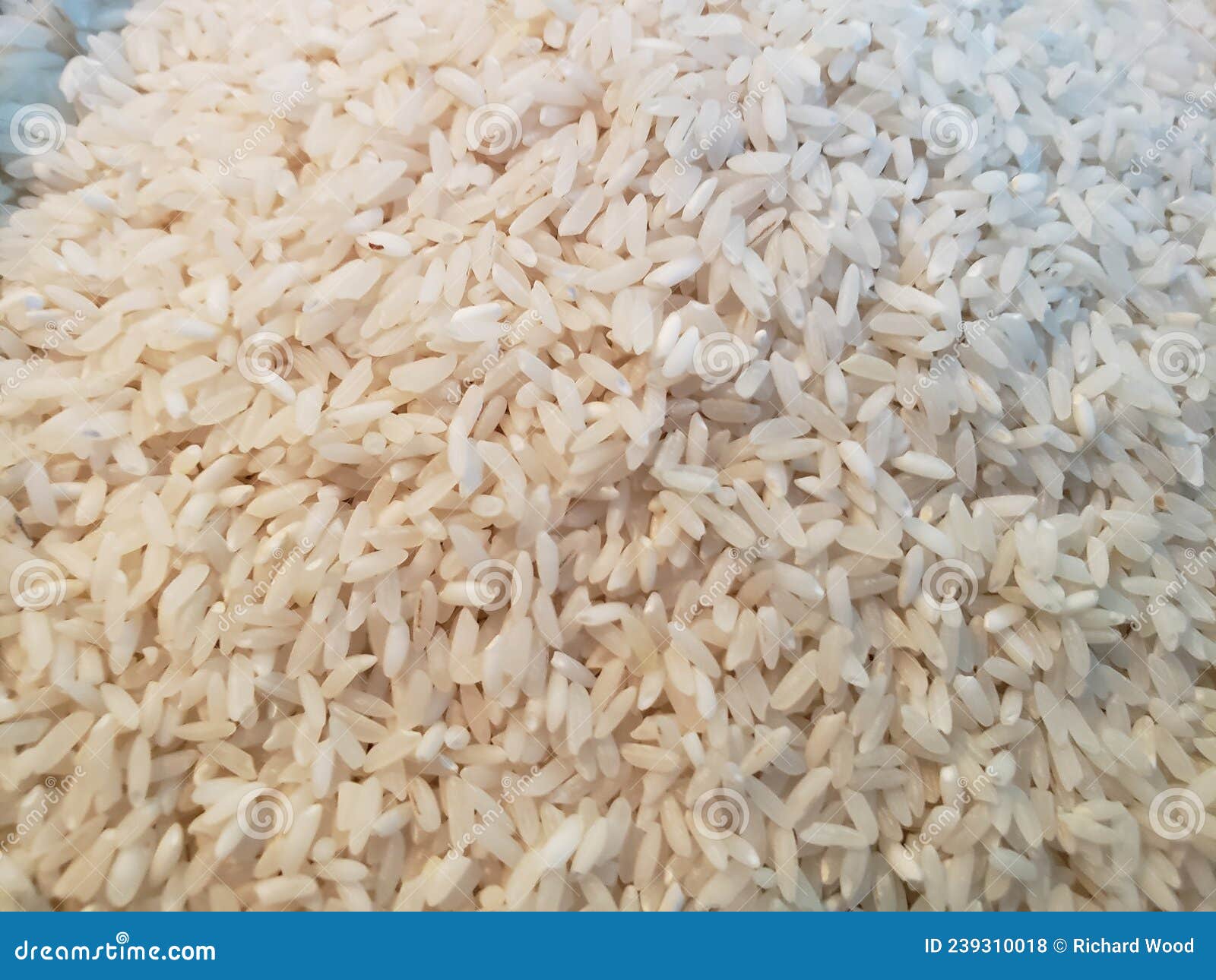 Several Cups of Rice Sitting in a Strainer Stock Photo - Image of ...