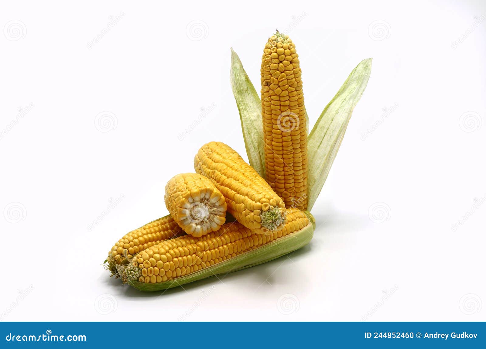 Several Ears of Corn with Leaves on a Light Background. Natural Product ...