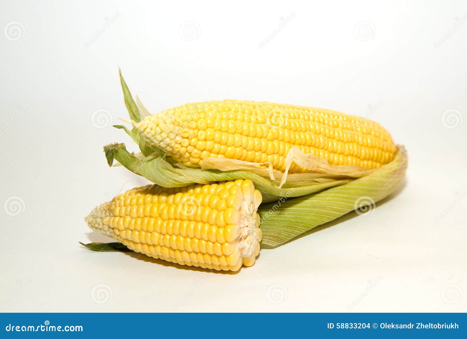 Several Ears of Corn on Over White Stock Photo - Image of feeding ...