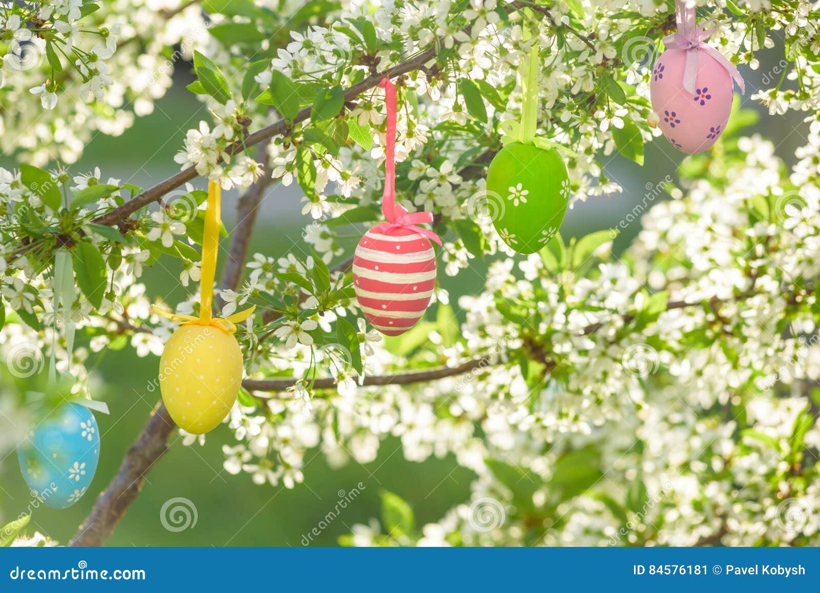 Several Easter Colored Eggs Hanging on a Tree Branch Color Sunny Spring ...
