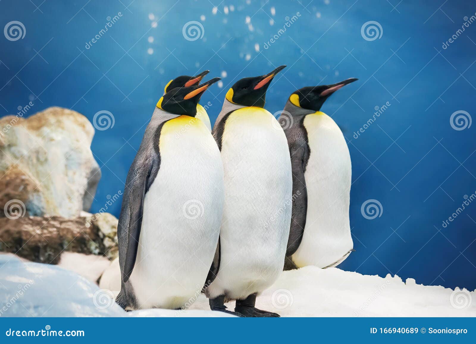 Several Emperor Penguins in the Cold Ice Stock Image - Image of chick ...