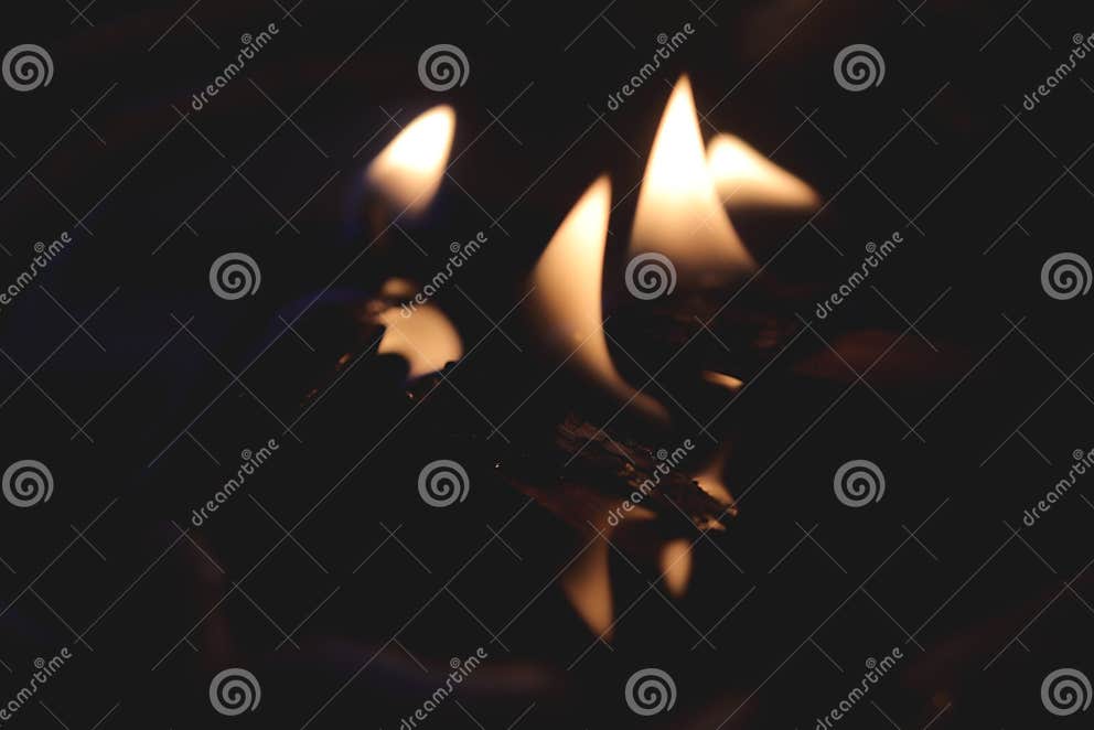 Several Fire Flame Lights on the Surface of the Paraffin Stock Photo ...