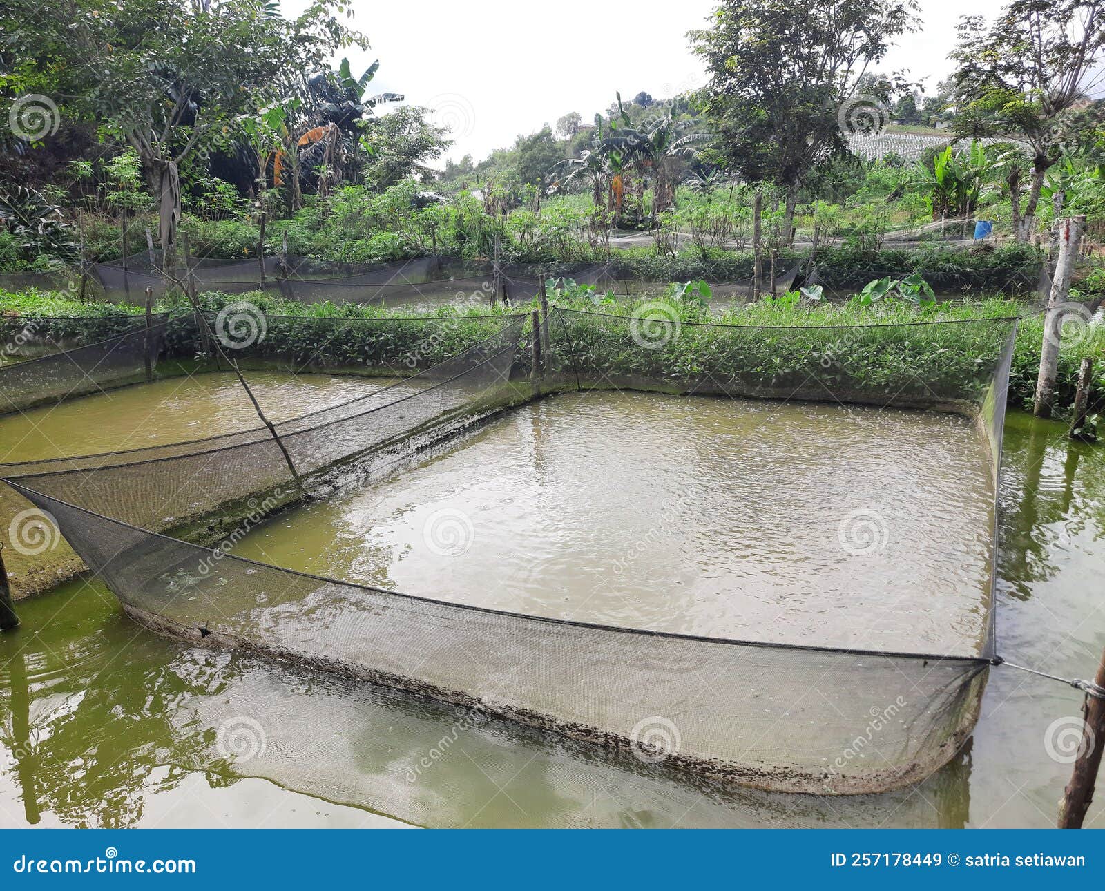 Several fish ponds stock image. Image of watercourse - 257178449