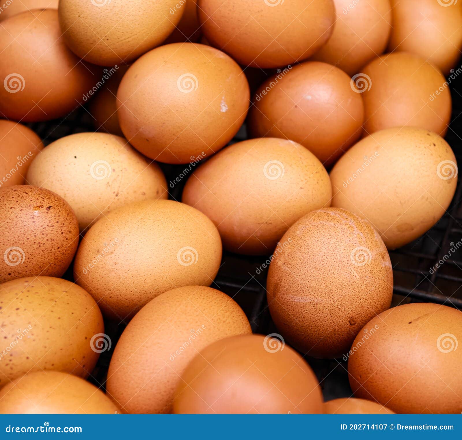 Several Fresh Chicken Eggs on a Grille. Stock Image - Image of ...