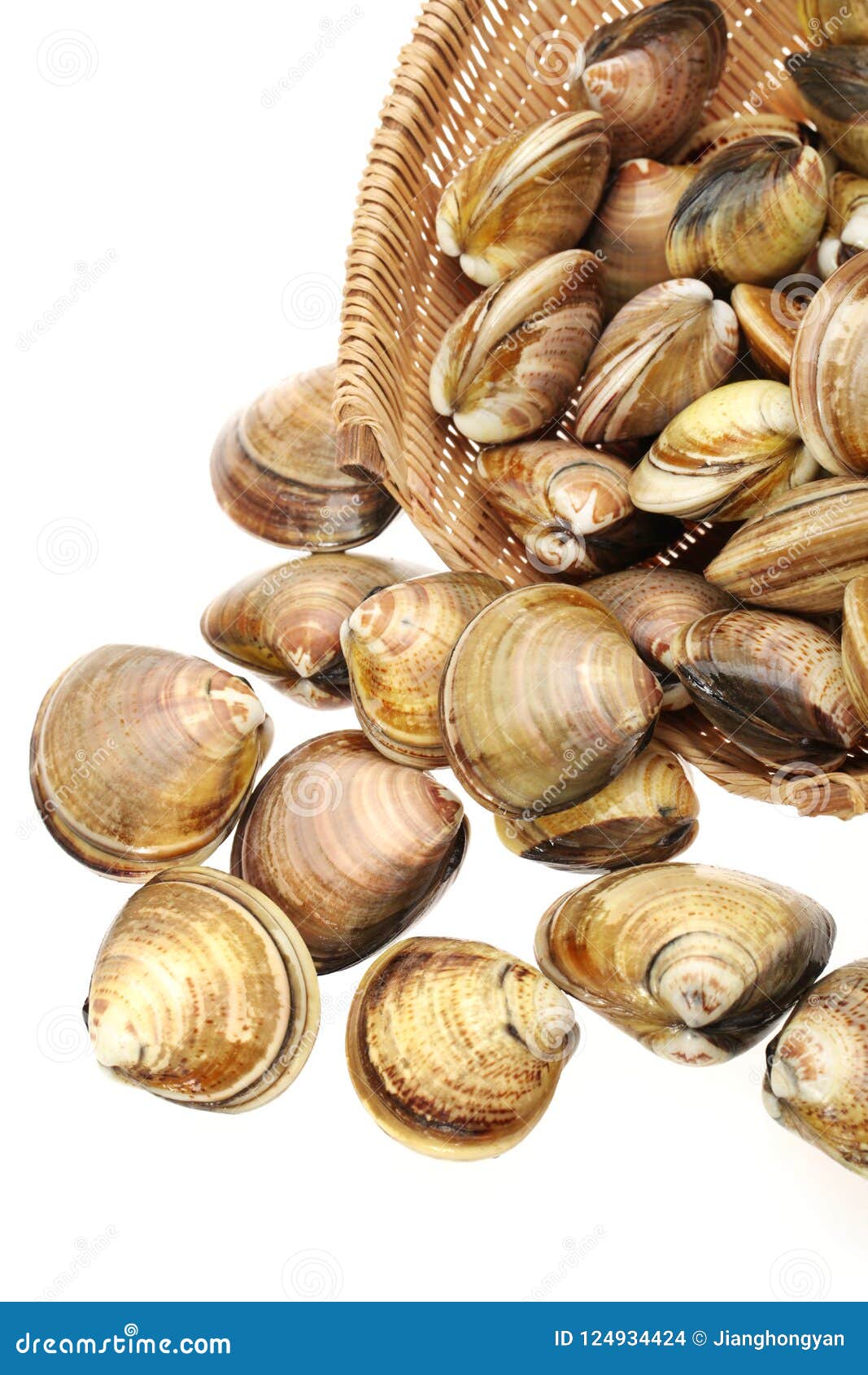 Several Fresh Clams Surrounded Stock Photo - Image of shells, deli ...