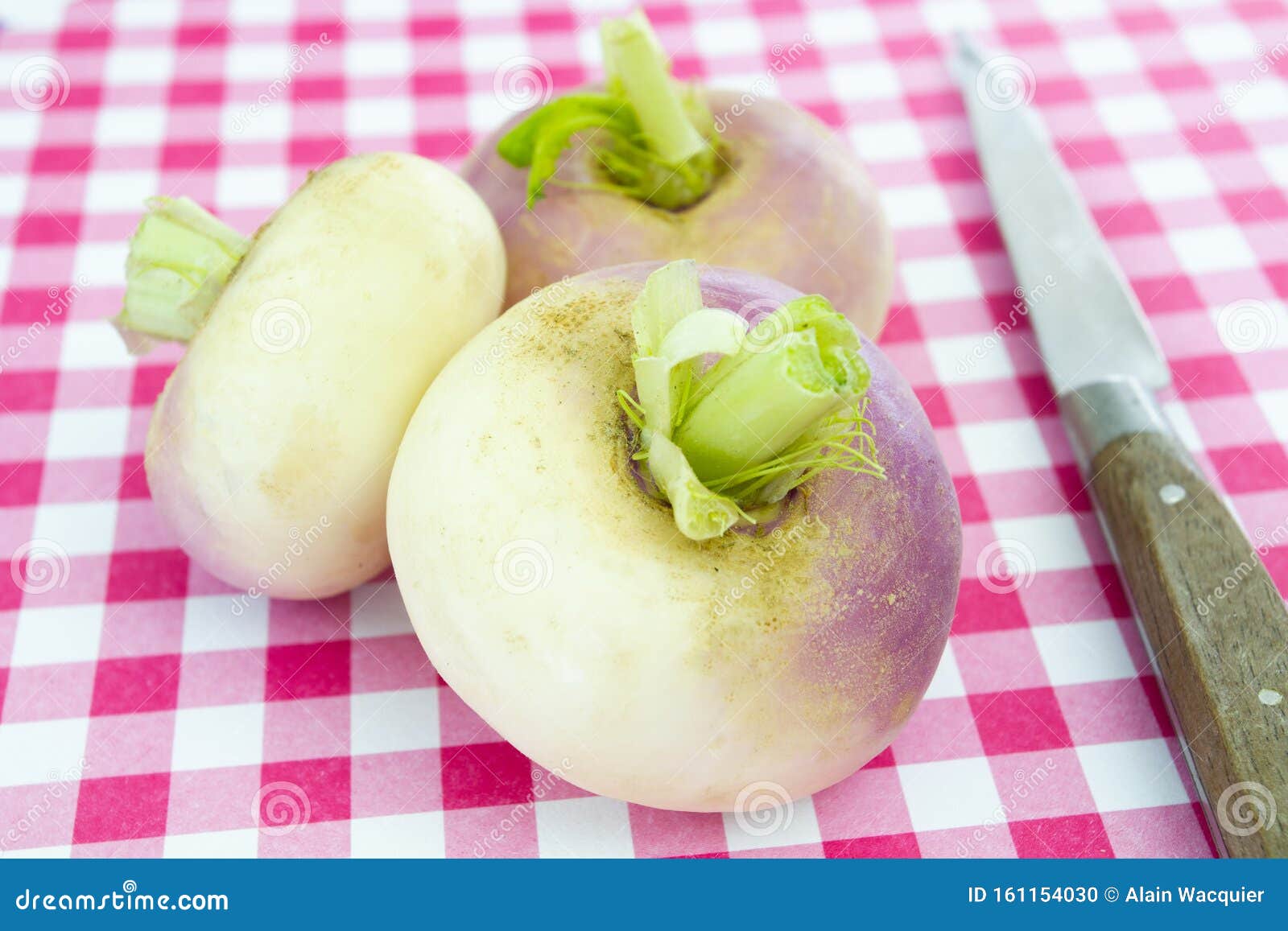 Several fresh turnip stock photo. Image of table, freshness - 161154030