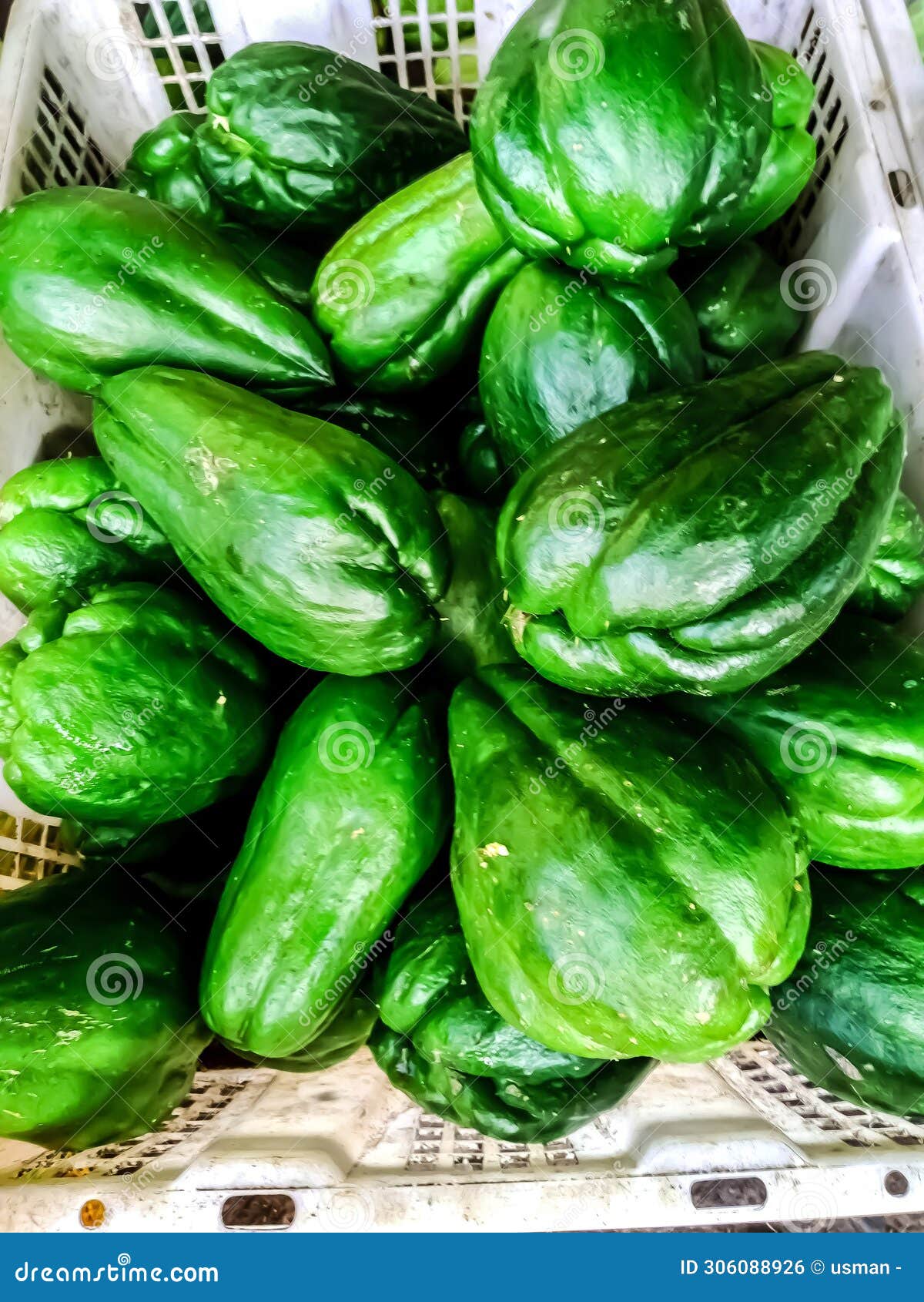 Several Green Sweets in a White Plastic Box Stock Photo - Image of ...