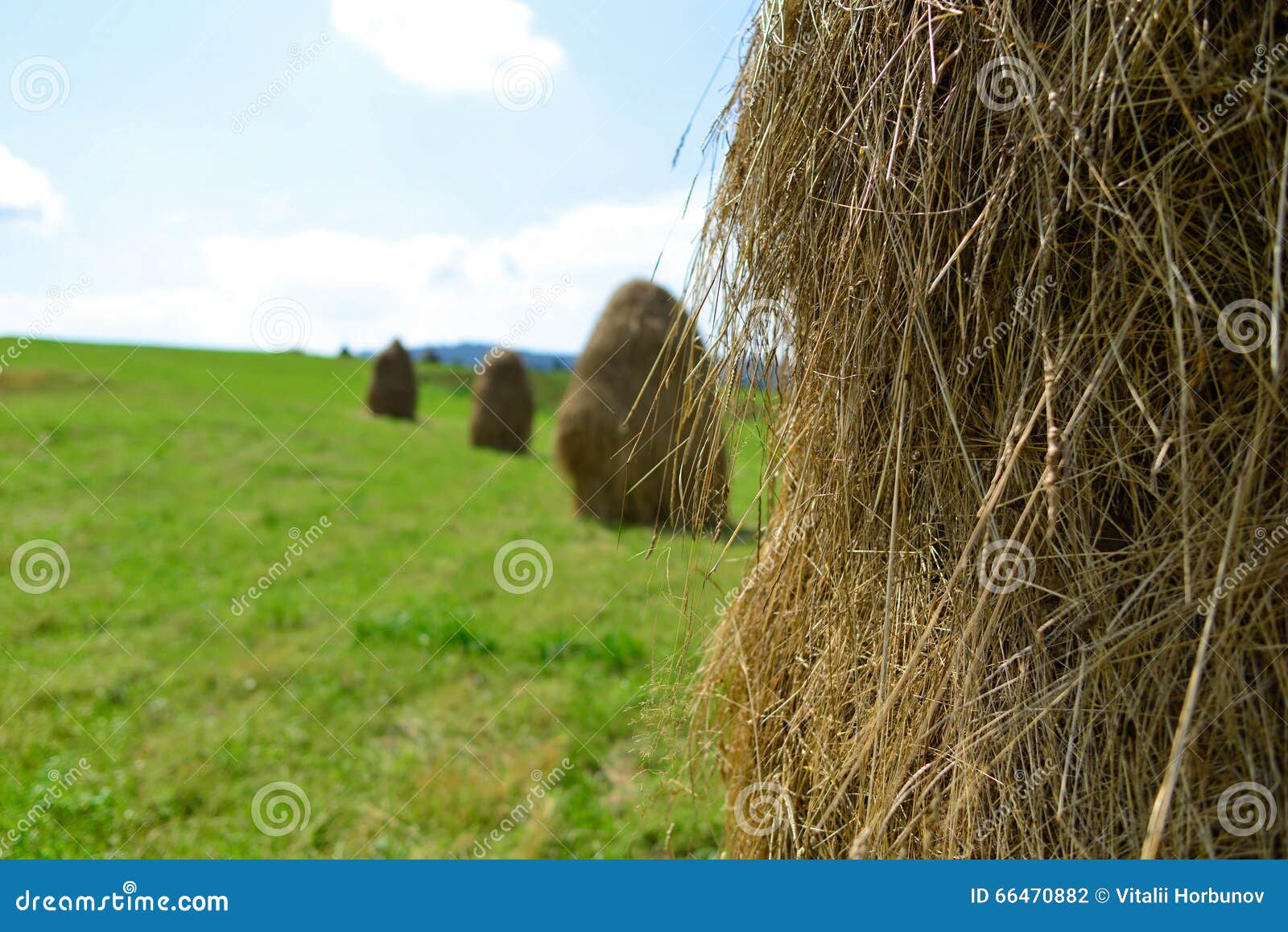 Several Hayrick on the Green Field Stock Photo - Image of meadow ...