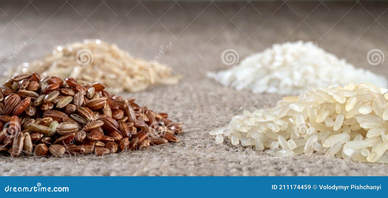 Several Heaps of Rice of Different Varieties Stock Image - Image of ...