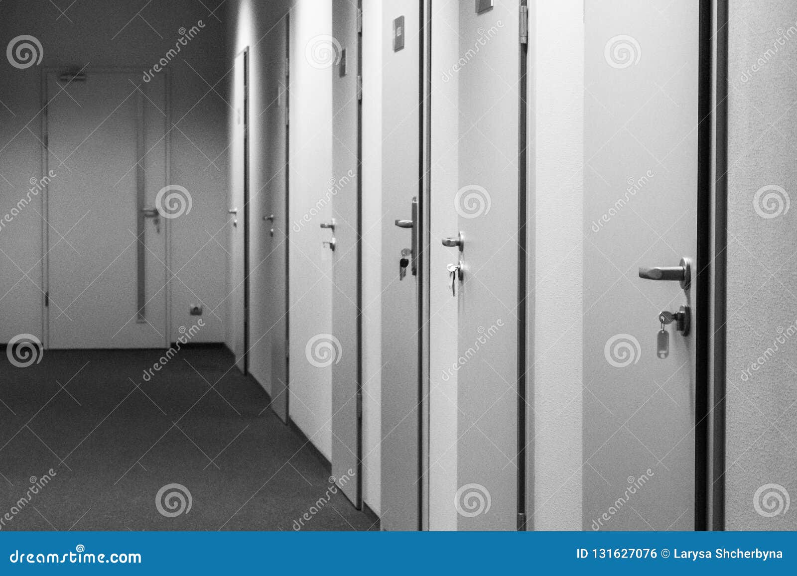 Several Identical Closed Doors Stock Photo - Image of lock, interior ...