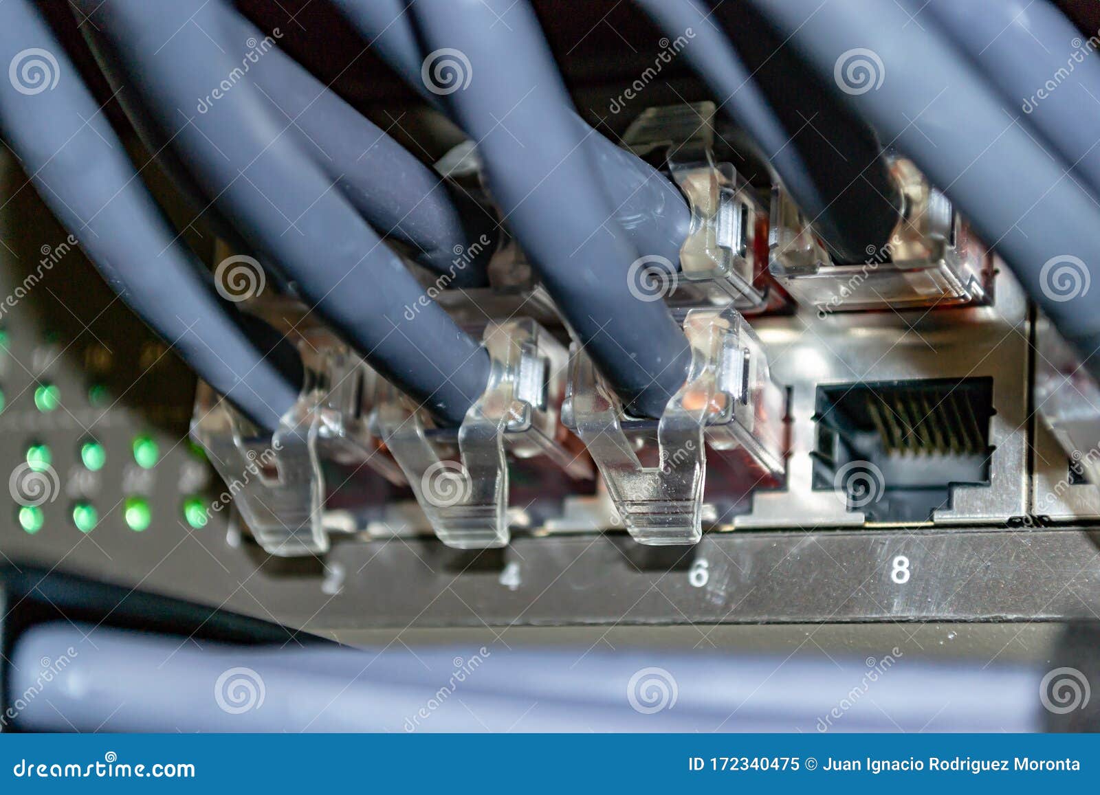 Several LAN Cables Connected To Ethernet Switch Formed Communication ...