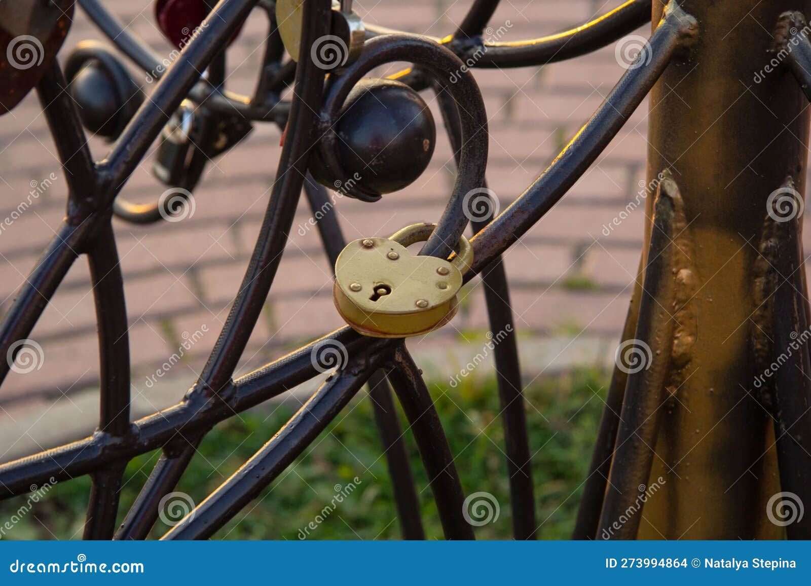 Several Locks of Different Colors Hang on the Iron Structure Stock ...