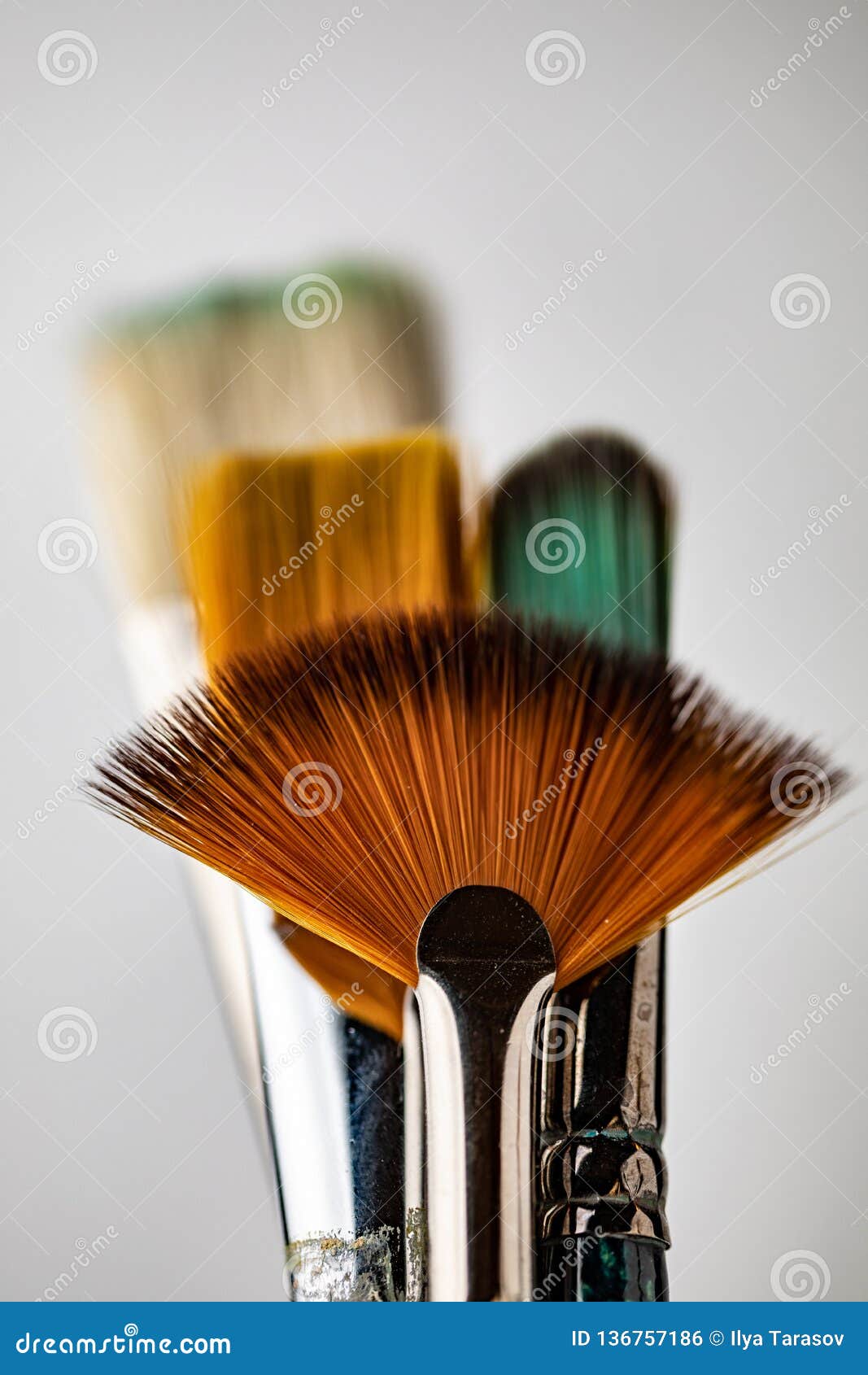 Several Multi-colored Artistic Brushes. Closeup of Artistic Brushes ...