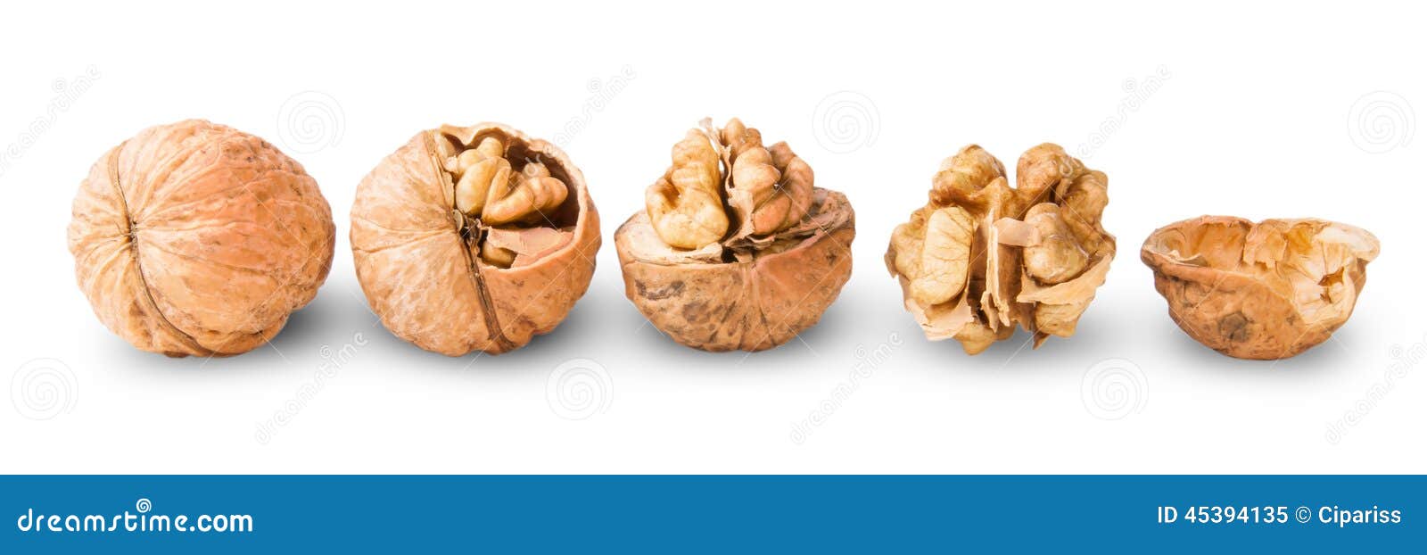 Several Nuts Lying in a Row Stock Image - Image of food, background ...