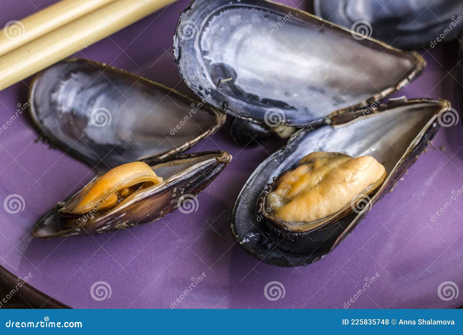 Open Mussel Shells on the Plate Stock Photo - Image of mussel, seafood ...