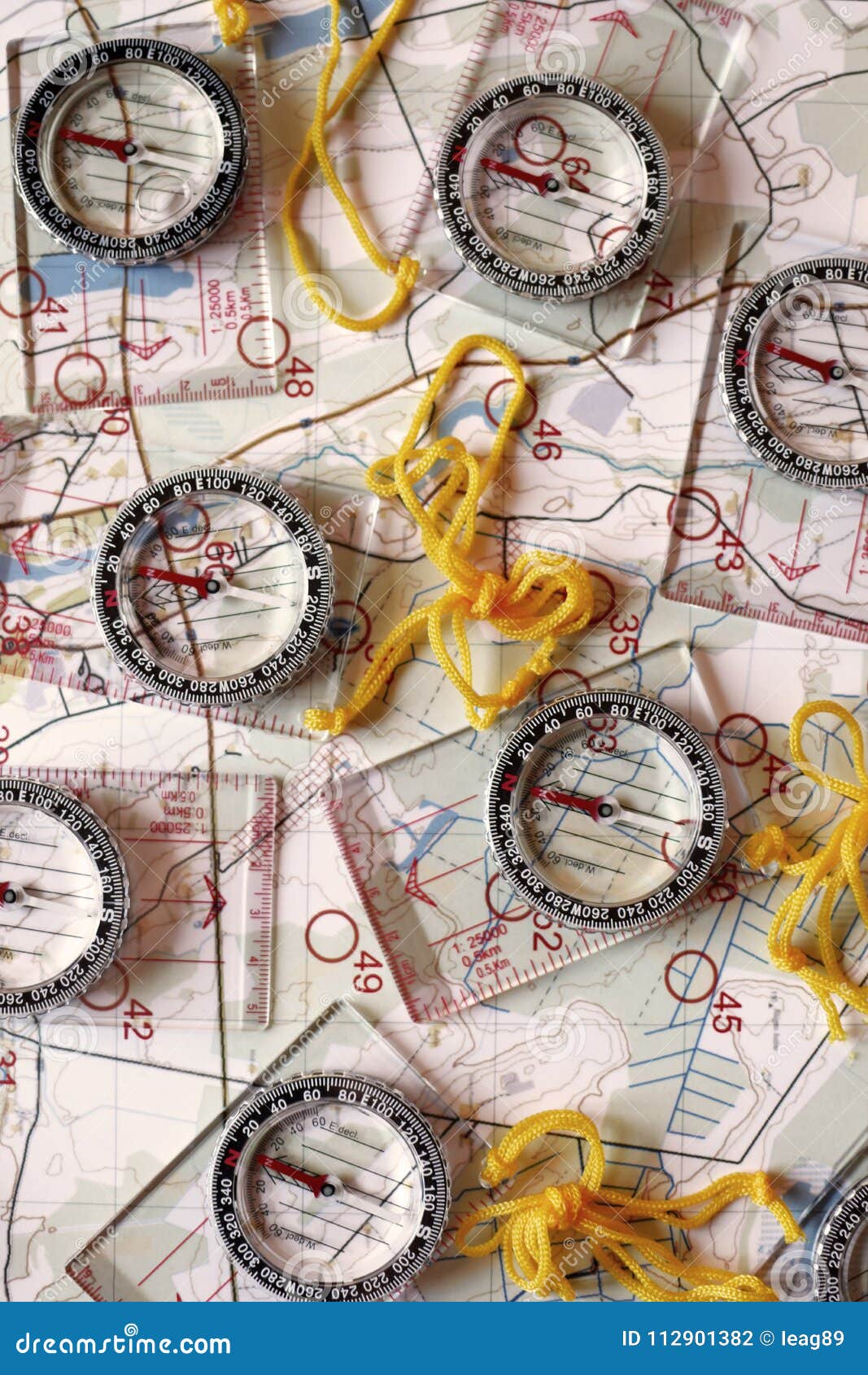 Several Plastic Transparent Compasses Stock Photo - Image of forest ...