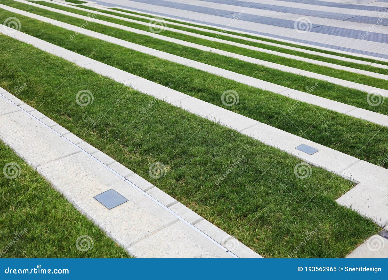 Several Rows of Lawn on the Stairs Stock Image - Image of plant ...