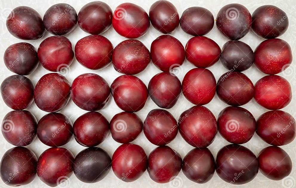 Several Rows of Red Large Plums on a White Background Stock Image ...