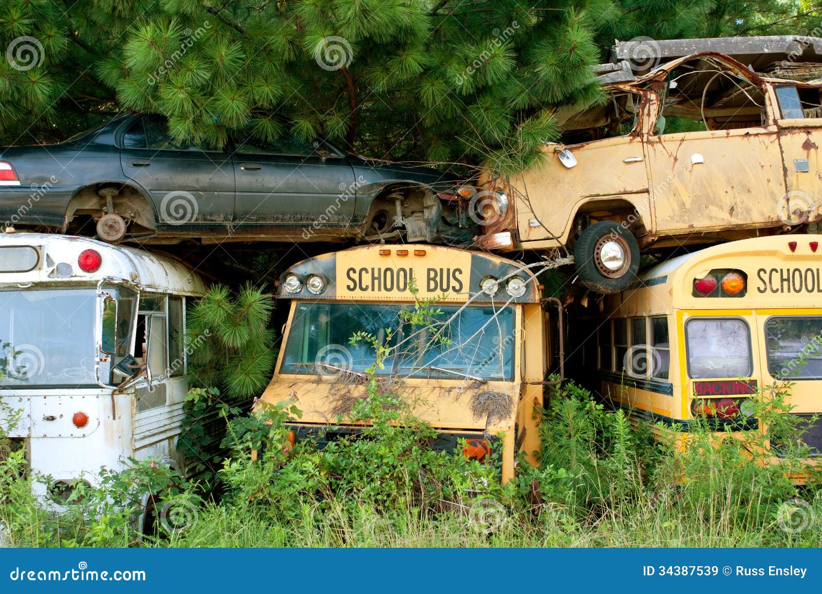 Scrapped School Buses Sit In Auto Junkyard Royalty-Free Stock Image ...