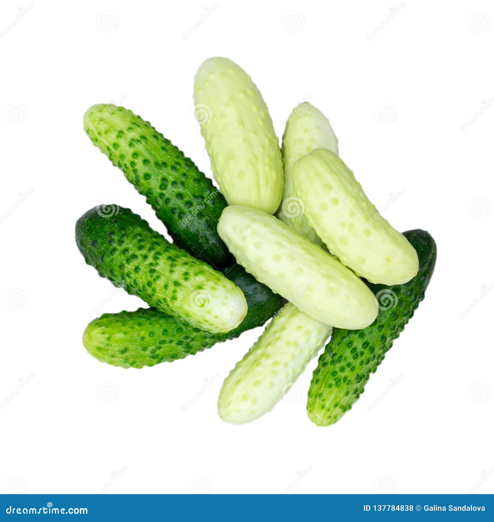 Several Small Cucumbers Gherkins of Different Varieties Isolated on ...