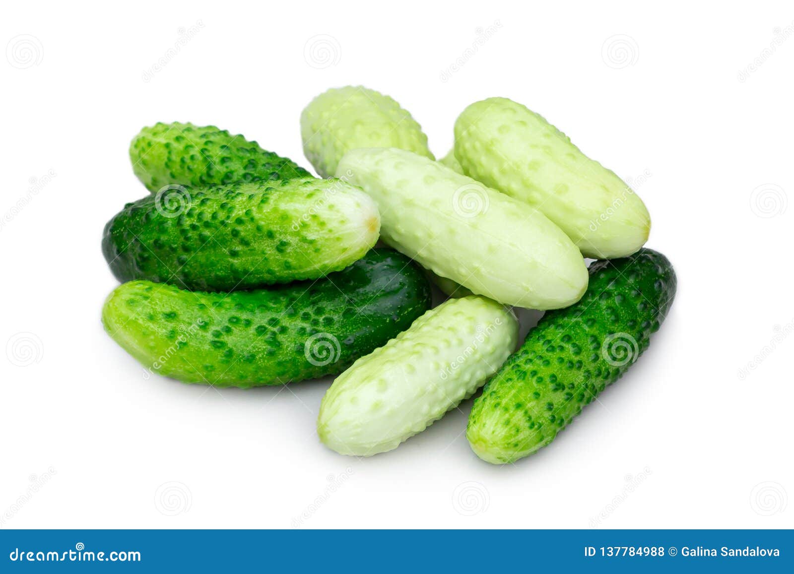 Several Small Cucumbers Gherkins of Different Varieties Isolated on ...