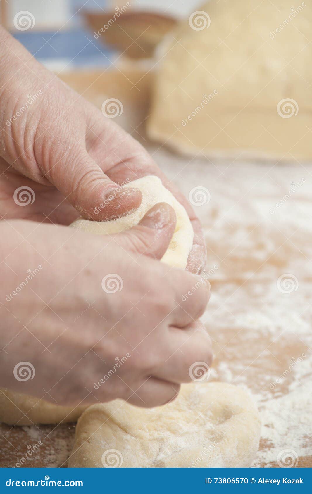 Several small patties stock photo. Image of crust, gourmet - 73806570