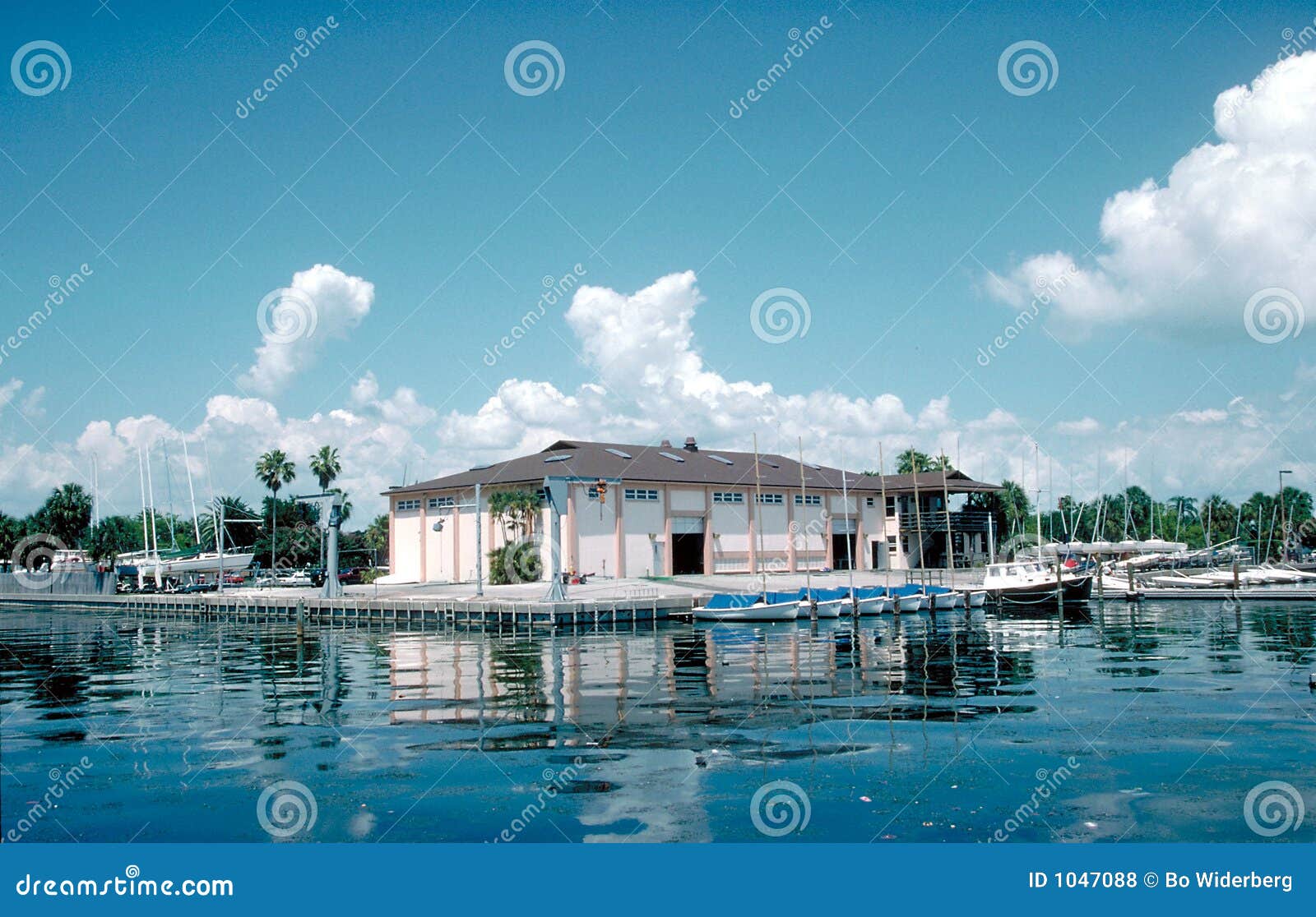 Several Small Sailboats Moored in Marina Stock Photo - Image of club ...